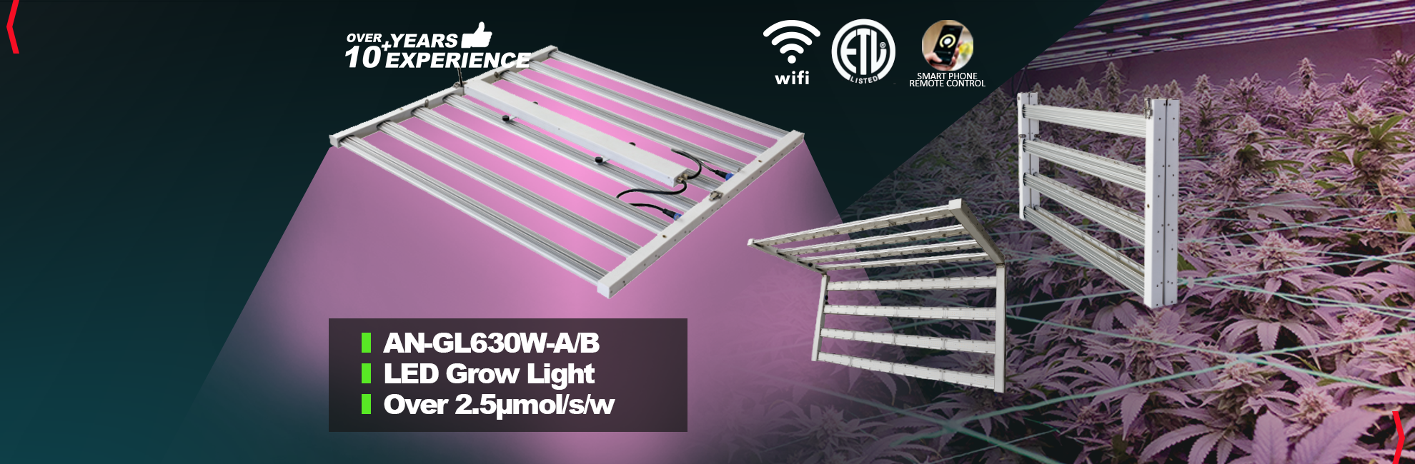 AOK LED Light Company